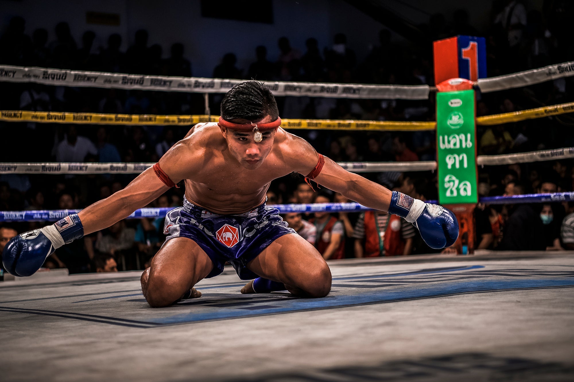 COVID-19 Update: Thailand Boxing Events To Resume in June | YOKKAO USA